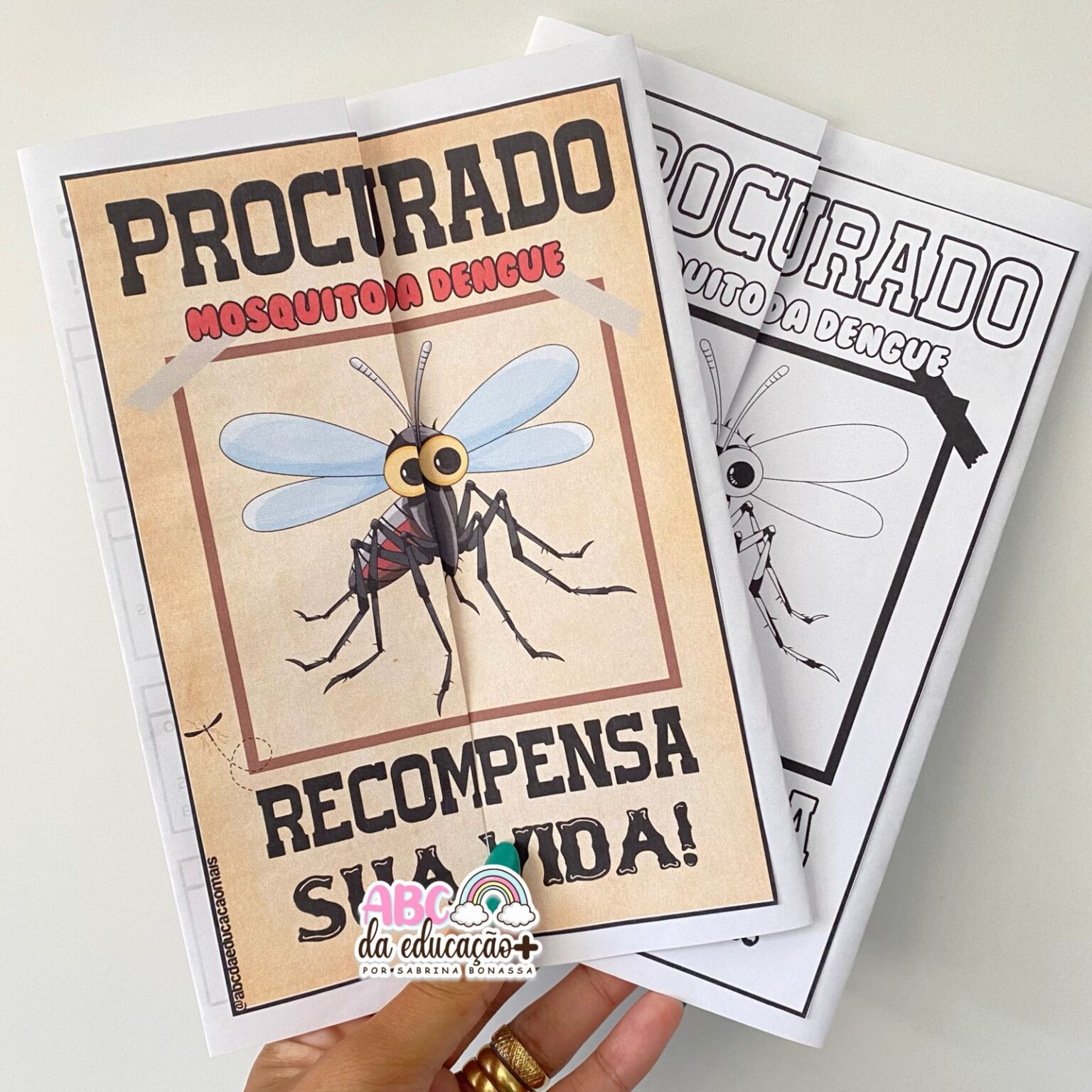 Lapbook Informativo sobre a Dengue – Prof Decorativa – Loja